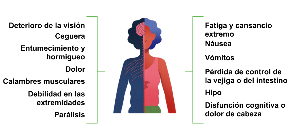 UPLIZNA® (inebilizumab-cdon) | Tratamiento del NMOSD